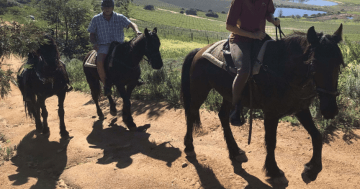 Franschhoek: Full-Day Horseback Riding and Wine Tasting Tour | GetYourGuide