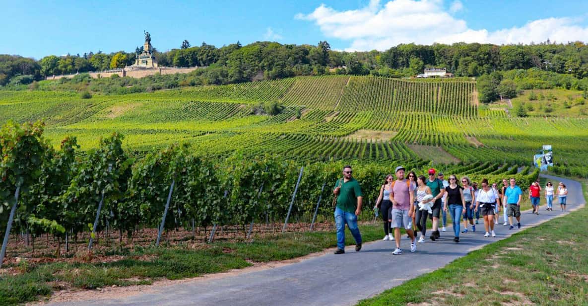 Geführte Weinwanderungen mit Sekt, 4 Weinen, Seilbahnfahrt | GetYourGuide