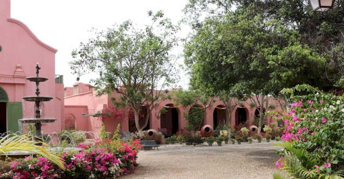 Ica: Pisco and Wine Tasting Tour with Hotel Pickup | GetYourGuide