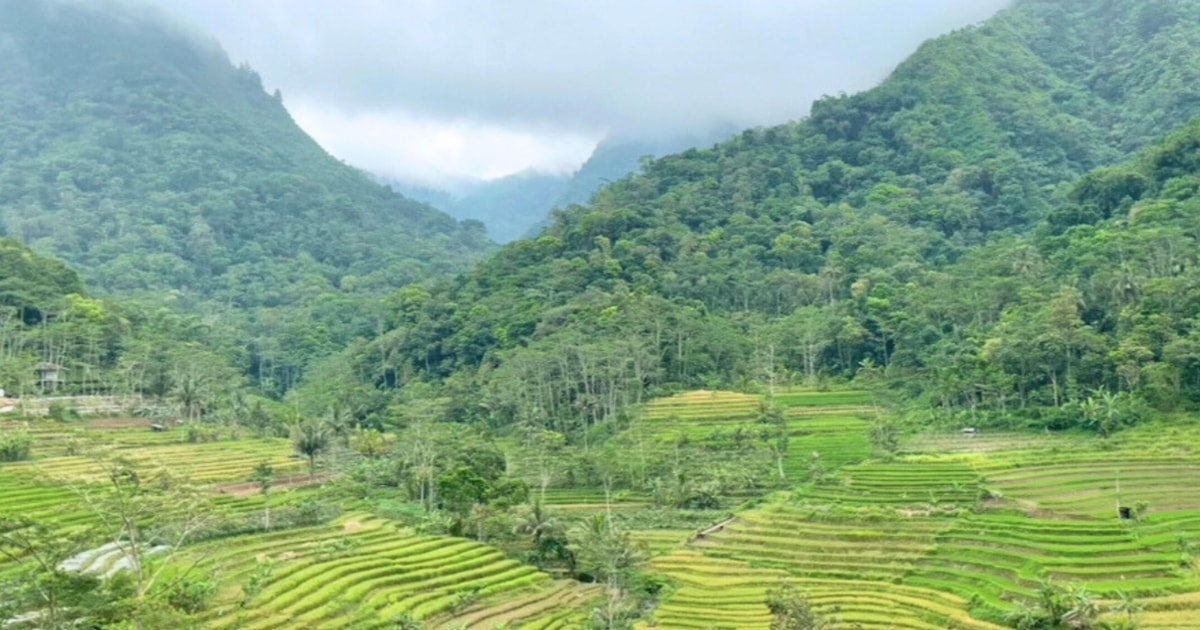 Borobudur: Trekking Selogriyo Temple Rice Terraces Private | GetYourGuide