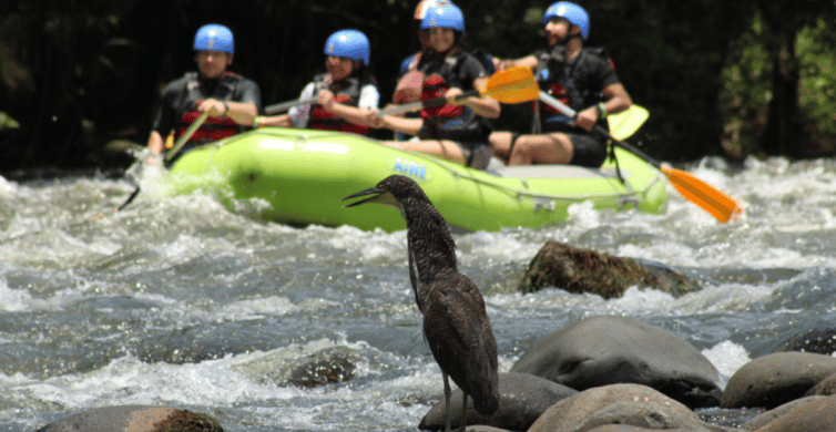 La Fortuna: White Water Rafting on the Balsa River | GetYourGuide