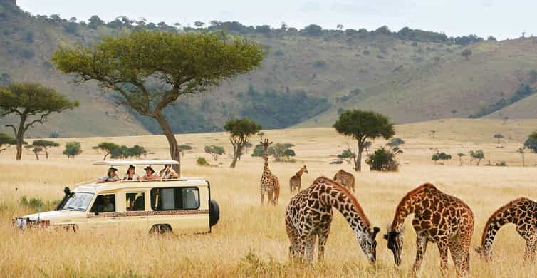 Nairobi National park group joining game drive tour. | GetYourGuide