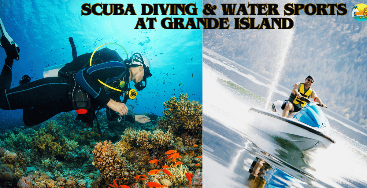 Tauchen & Wassersport auf Grande Island, Nord-Goa | GetYourGuide