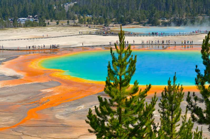 Yellowstone Lower Loop - Private Full Day Tour | GetYourGuide