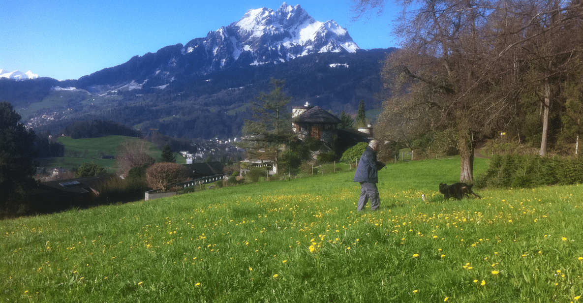 Promenade d'une demi-journée dans la campagne du lac des Quatre-Cantons ...