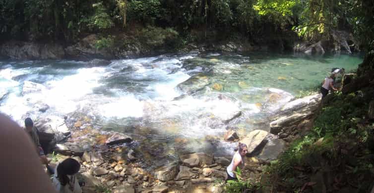 Crystal River: crystalline waters, stunning landscapes | GetYourGuide