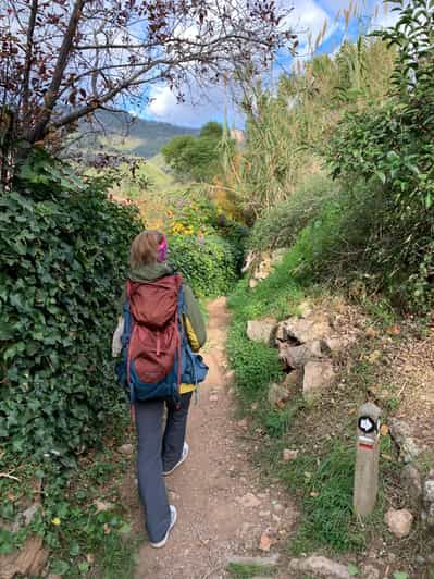 Soller valley walk: small villages and citrus farm visit | GetYourGuide