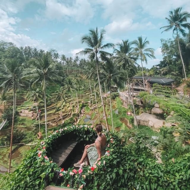 Bali Ubud Tour Best of Ubud Higlight with private Transfers | GetYourGuide