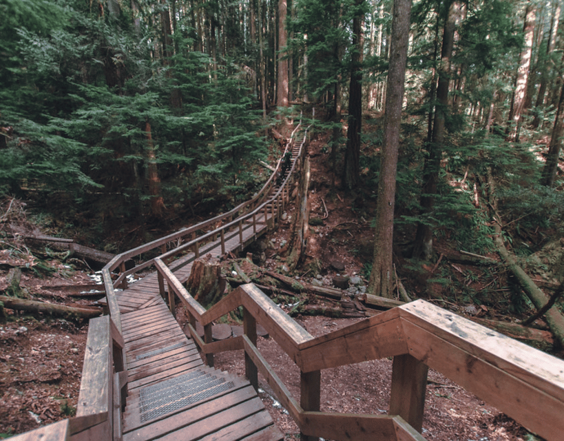 Quarry Rock & Deep Cove Hiking Day Trip | All-inclusive | GetYourGuide