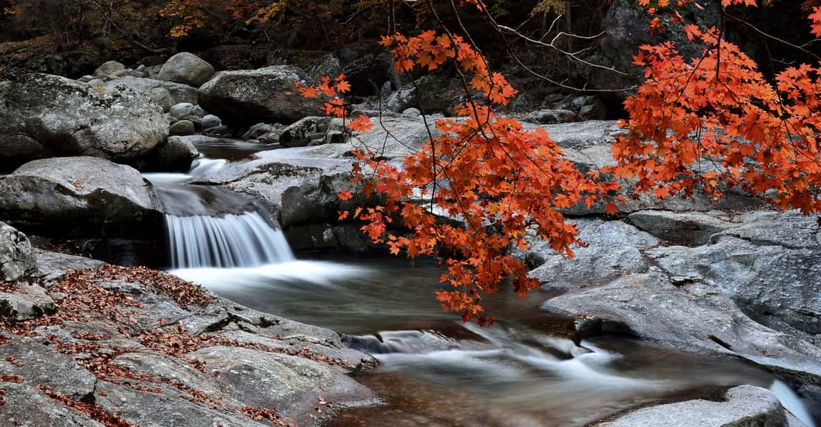 부산 출발: 경치 좋은 지리산 가을 단풍 여행 | GetYourGuide