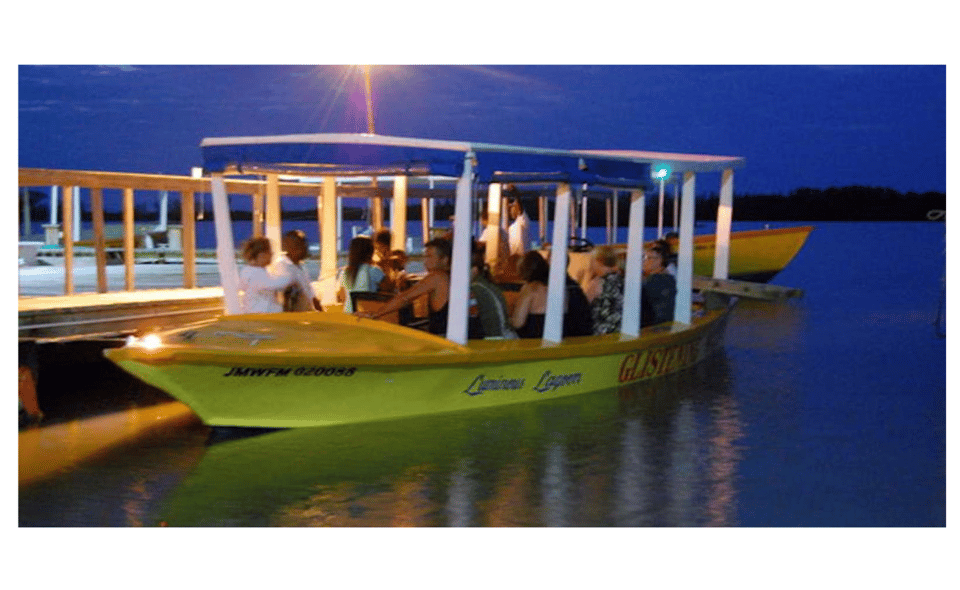 Luminous Lagoon Night Tour | GetYourGuide
