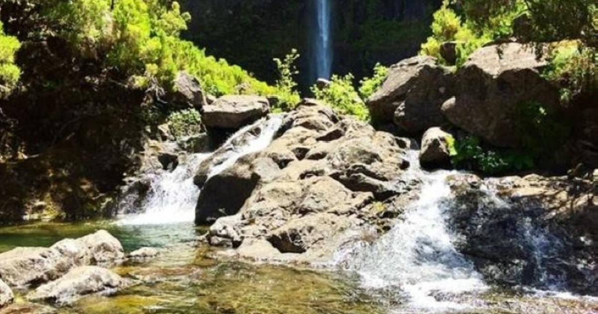 Trail to Wind Lagoon – Explore Levada do Alecrim | GetYourGuide