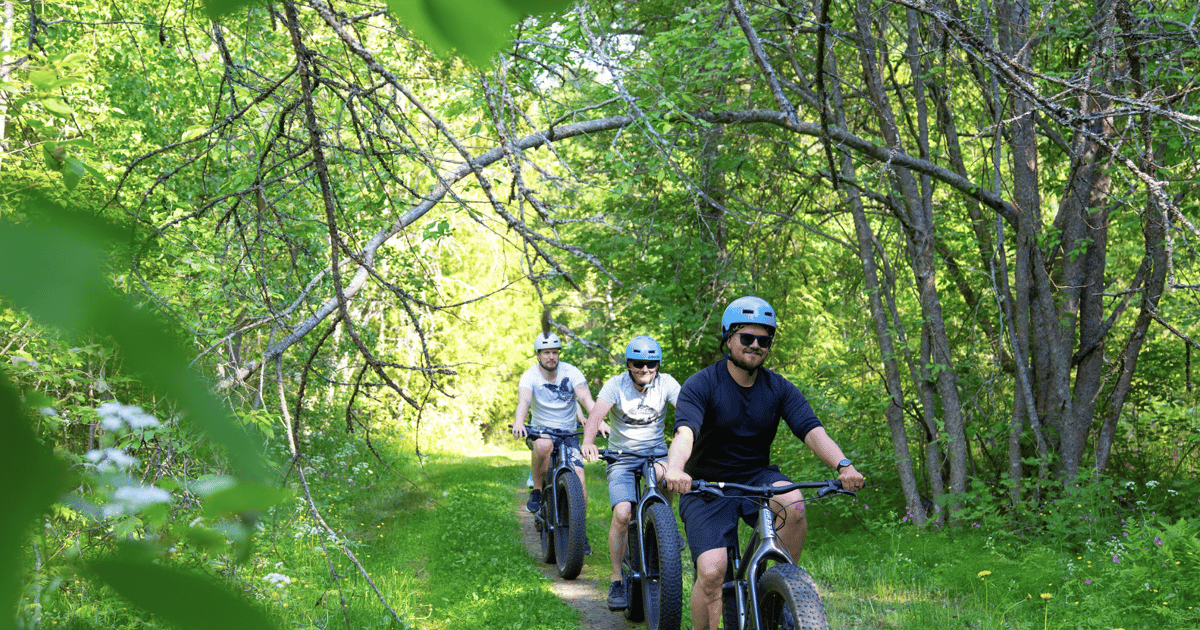 Oulu: Cultural Bike Tour | GetYourGuide