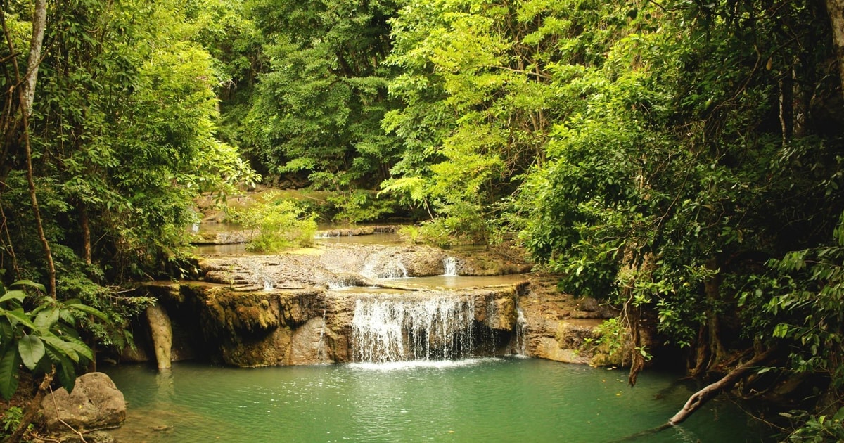 Samaná: Los Haitises Park & Yanigua Wasserfall – Private Tour ...