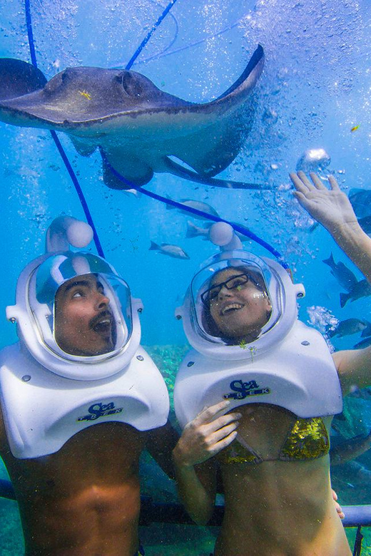 De Playa del Carmen: Parque Xcaret Plus, a experiência completa ...