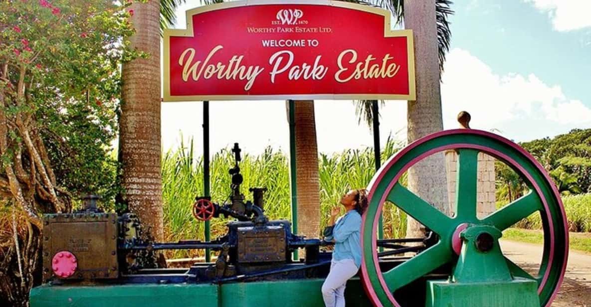 Jamaica: Worthy Park Rum Estate Tour | GetYourGuide