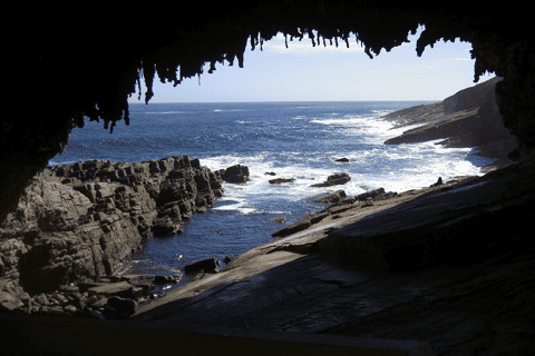 Flinders Chase National Park, Kangaroo Island - Book Tickets & Tours