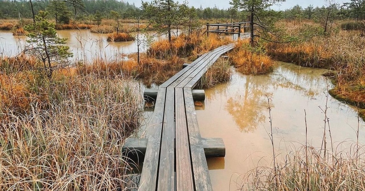 Kemeri National Park Guided Tour | GetYourGuide