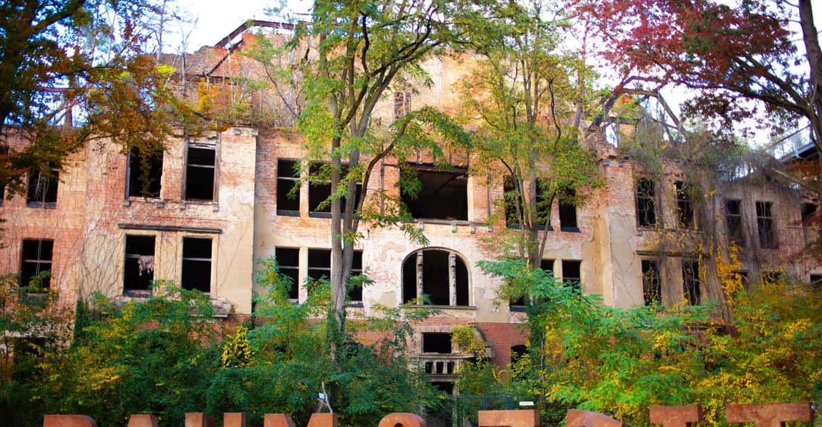 Beelitz-Heilstätten: Baum&Zeit Baumwipfelpfad Eintrittskarte | GetYourGuide