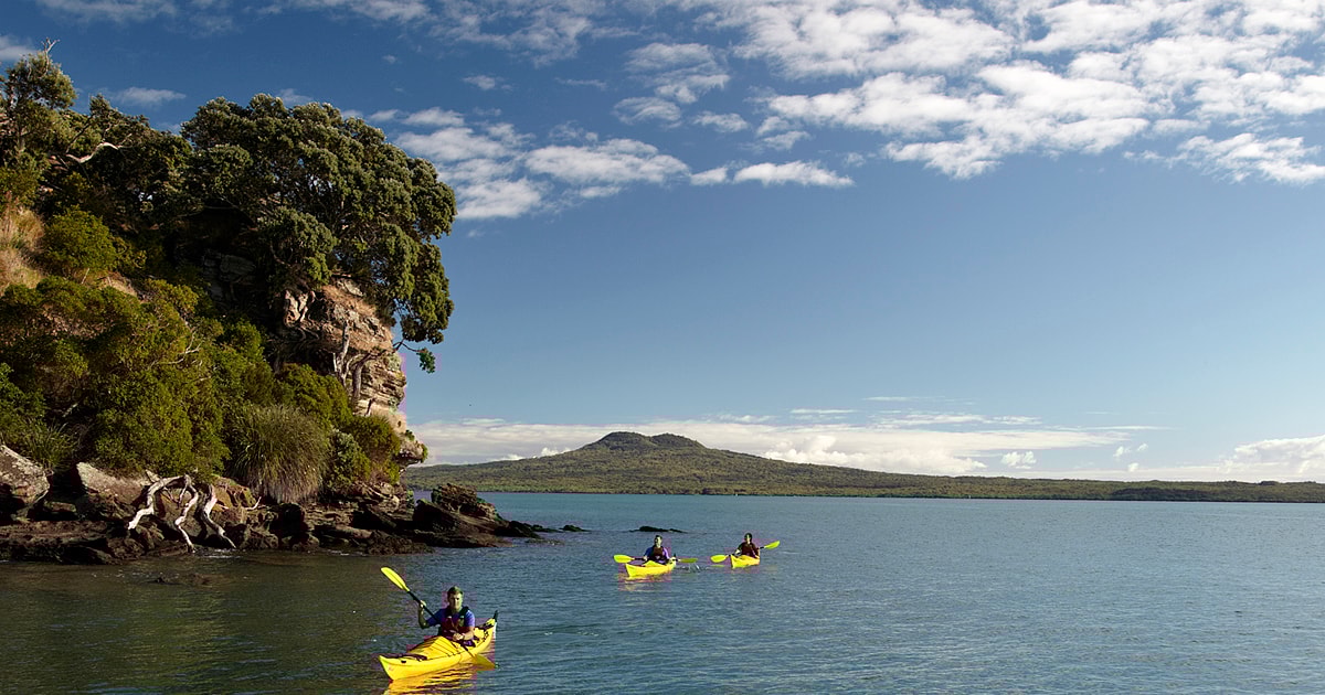 Auckland : Visite d'une demi-journée en kayak de mer sur l'île de ...