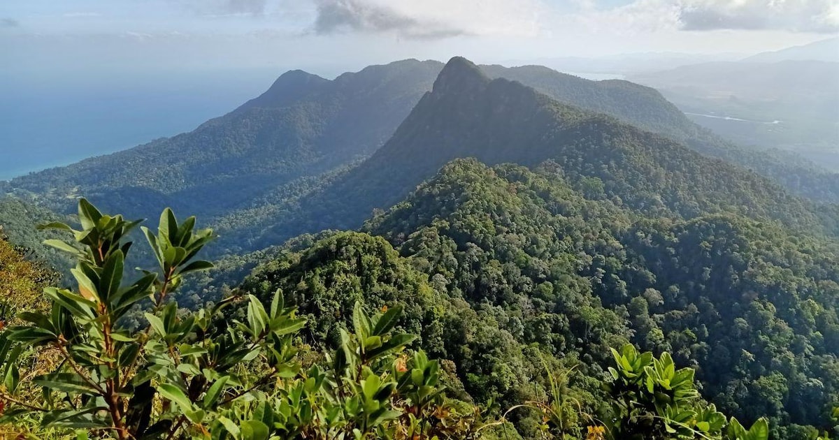 Langkawi: Mount Matchinchang Hiking Tour | GetYourGuide
