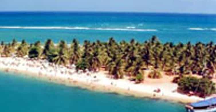 Excursão de 1 Dia à Praia do Gunga saindo de Maceió | GetYourGuide