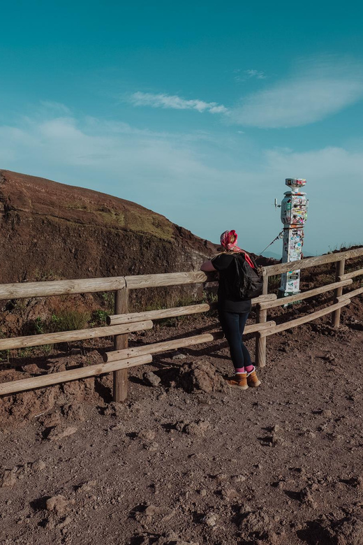 Pompeii and Mount Vesuvius excursion from Naples | GetYourGuide