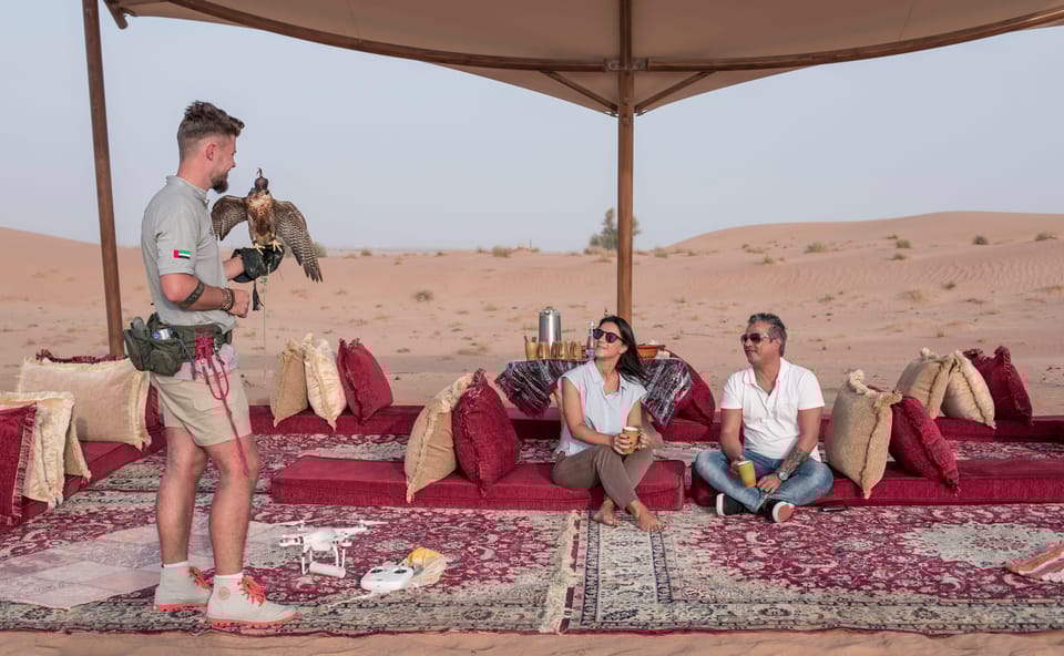 Private Falknerei und Safari in Land Rover Defenders Dubai | GetYourGuide