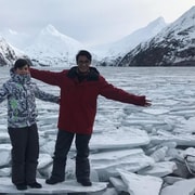 From Anchorage: Alaska Wildlife Center & Turnagain Arm Tour | GetYourGuide