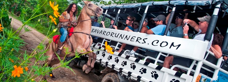 Runners Adventures | GetYourGuide Supplier