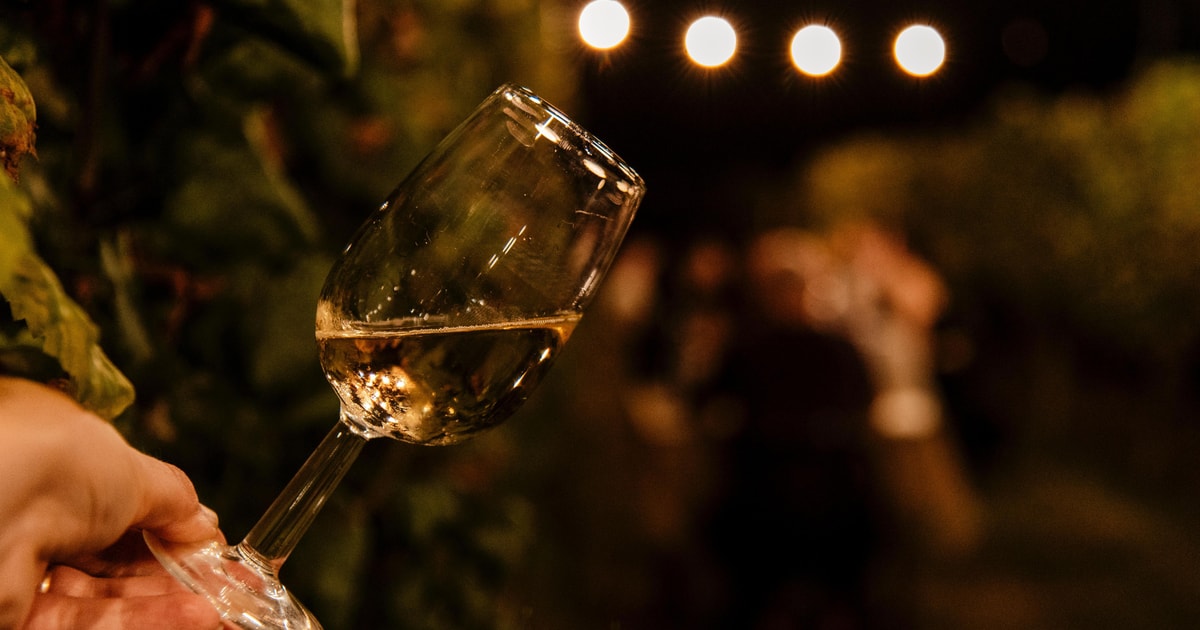 Middag på vingården i Alba med vinprovning, aperitif och besök på ...