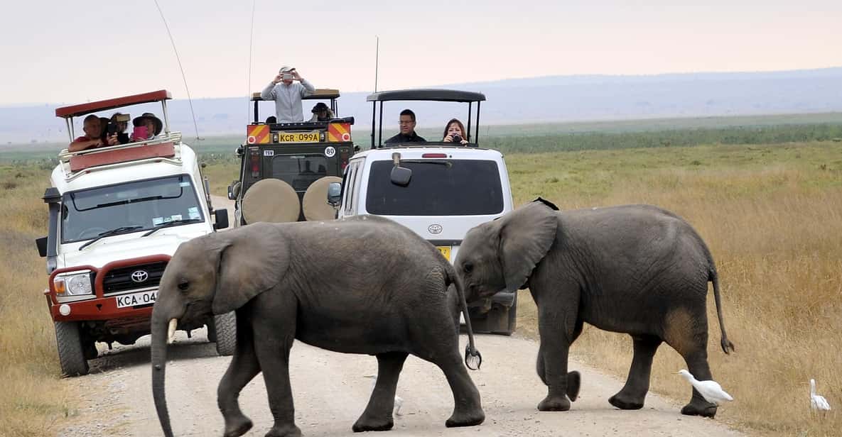 8 Days Discover Kenya Safari with 4x4 Land Cruiser Jeep | GetYourGuide