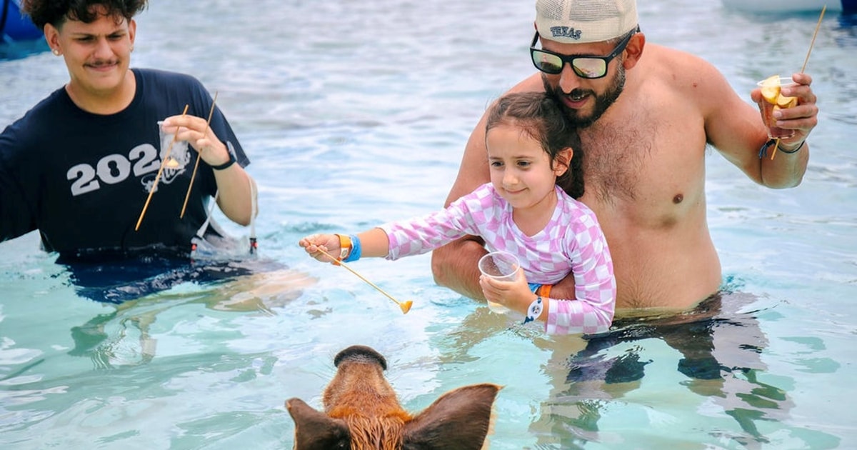 Nassau: Excursión en lancha rápida por los cerdos nadadores | GetYourGuide