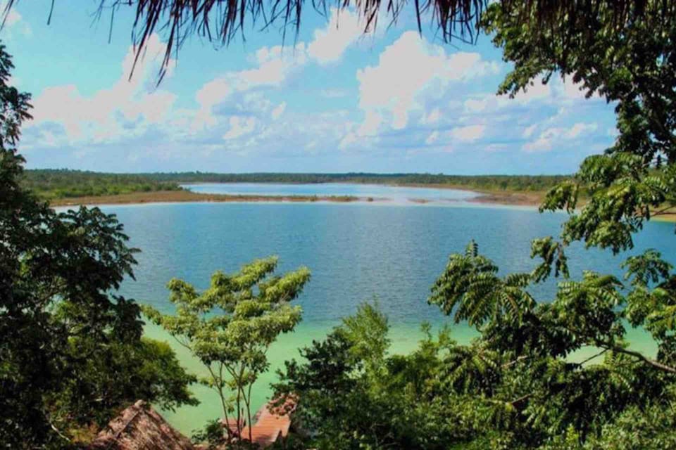 Full Day Tour to Cobá Ruins, Punta Laguna & Cenote | GetYourGuide