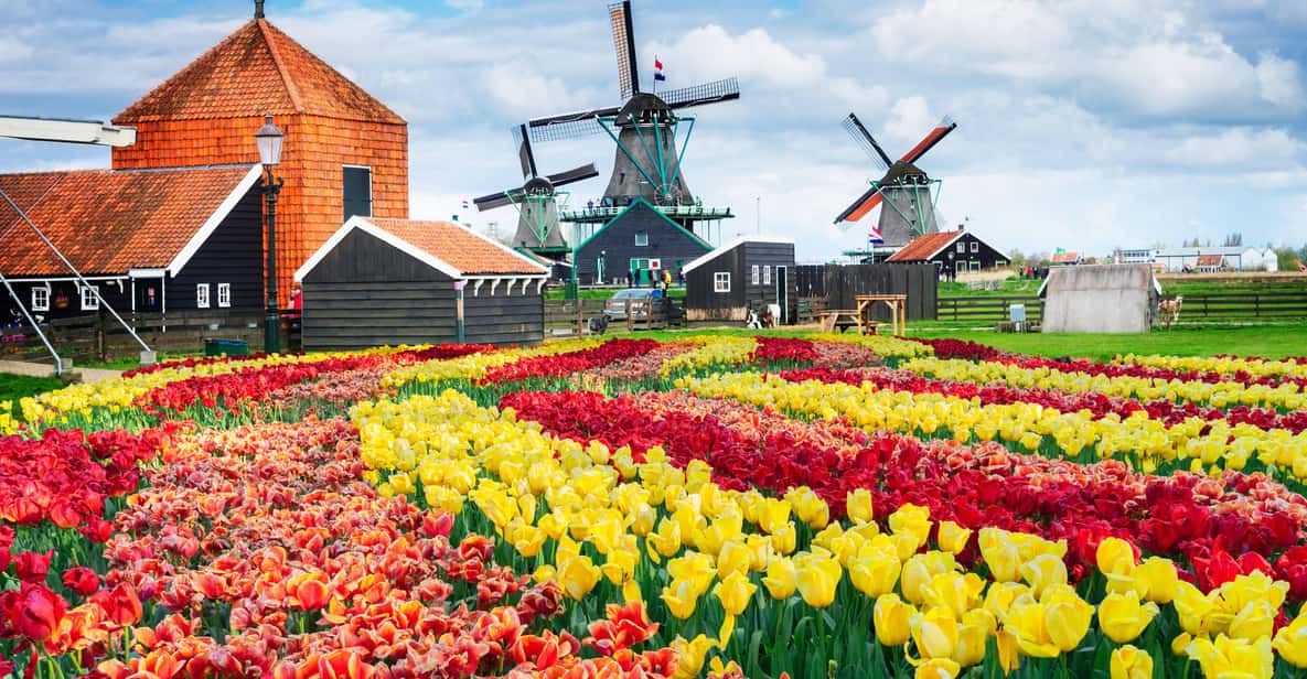 Amsterdam to Zaanse Schans Windmills, Volendam & Edam by Car | GetYourGuide