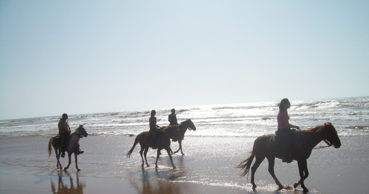 Agadir Horse Ride: 2-Hour Beach and Mountain Tour | GetYourGuide