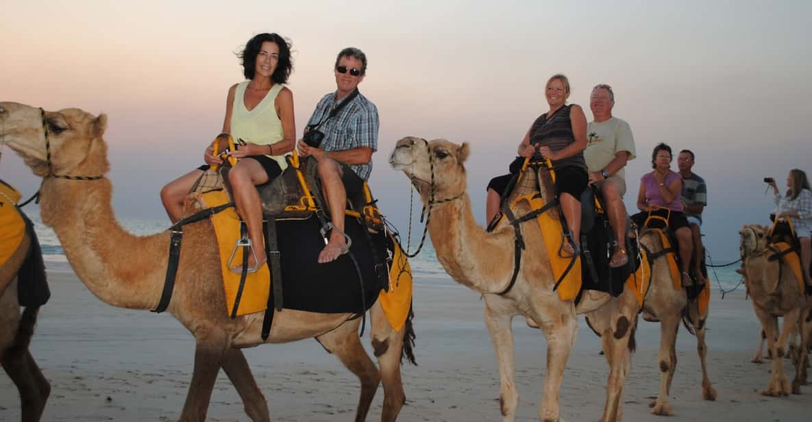 Agadir: 2-Hour Camel Ride Experience | GetYourGuide