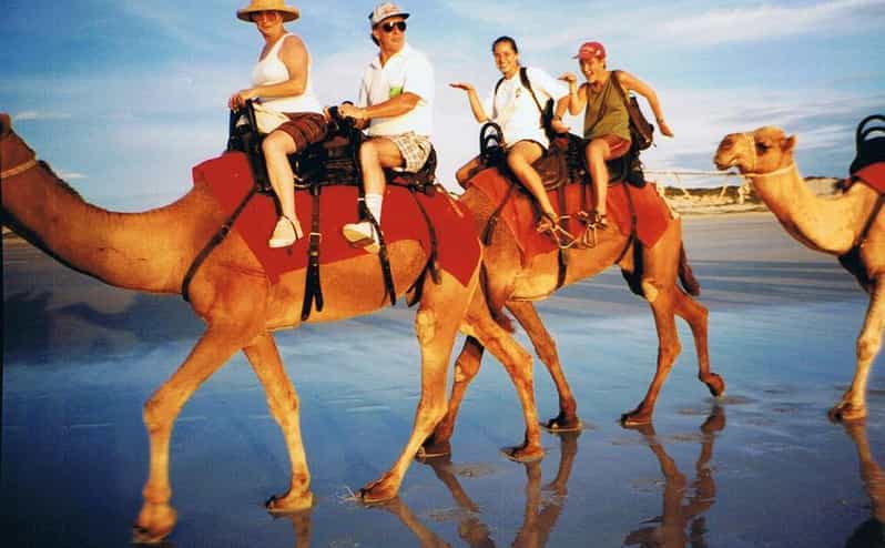 Agadir: Camel Ride Beach Tour Experience | GetYourGuide