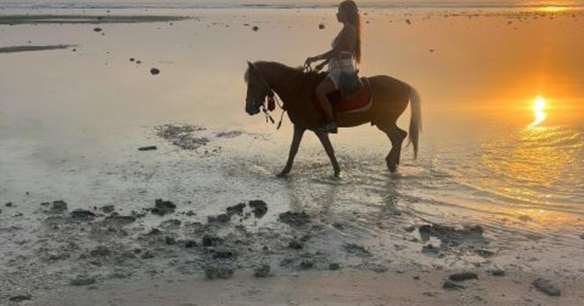 Gili Meno: One-Hour Beach Horseback Riding | GetYourGuide