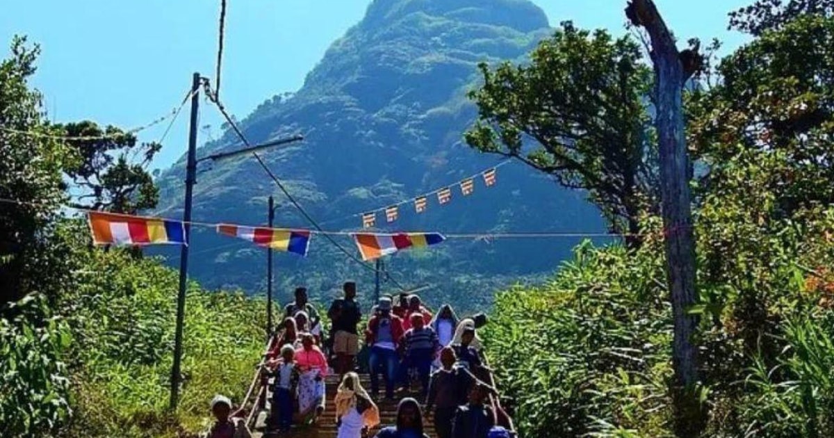 Hattonból: Hatton: Adam's Peak Napfelkelte túra szállodai transzferrel ...