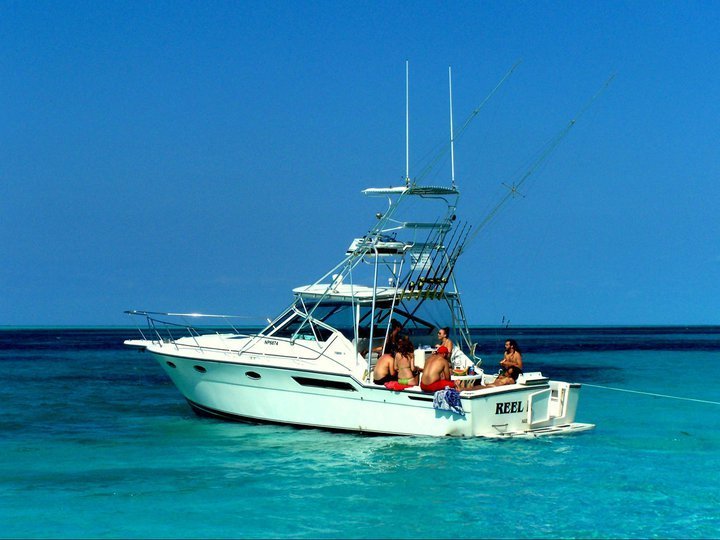 4 hour Fishing or Snorkeling 38ft Tiara | GetYourGuide