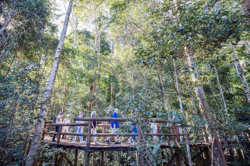 Sunshine Coast and Noosa Private Tour Experience Inc. Lunch | GetYourGuide