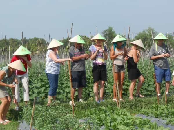 Full-Day Farming & Cooking class at Agricultural Village | GetYourGuide