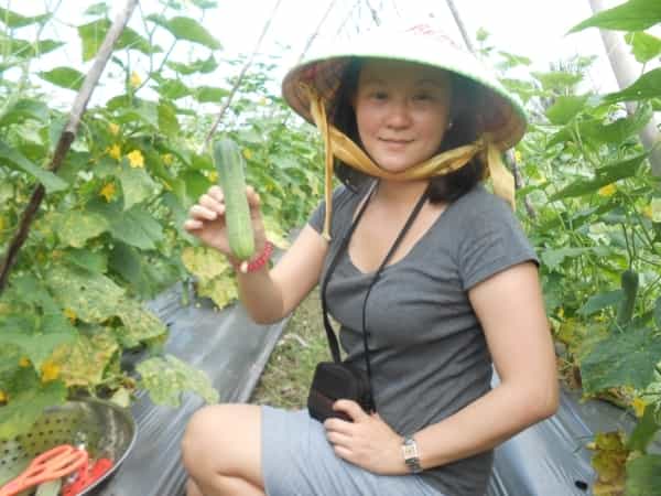Full-Day Farming & Cooking class at Agricultural Village | GetYourGuide