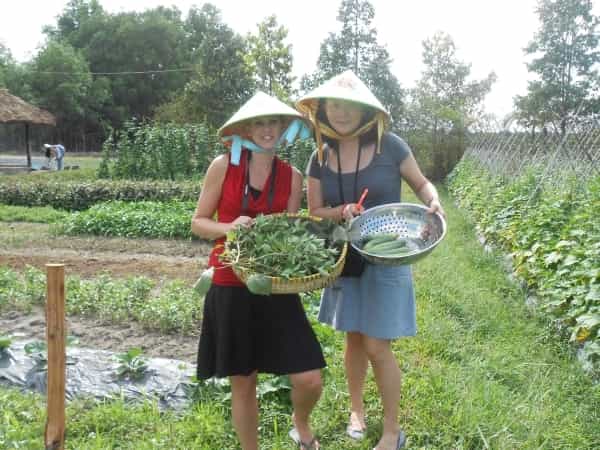 Full-Day Farming & Cooking class at Agricultural Village | GetYourGuide