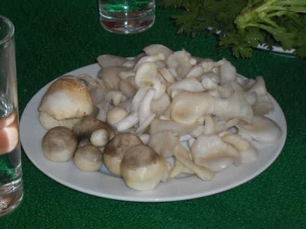 Full-Day Farming & Cooking class at Agricultural Village | GetYourGuide