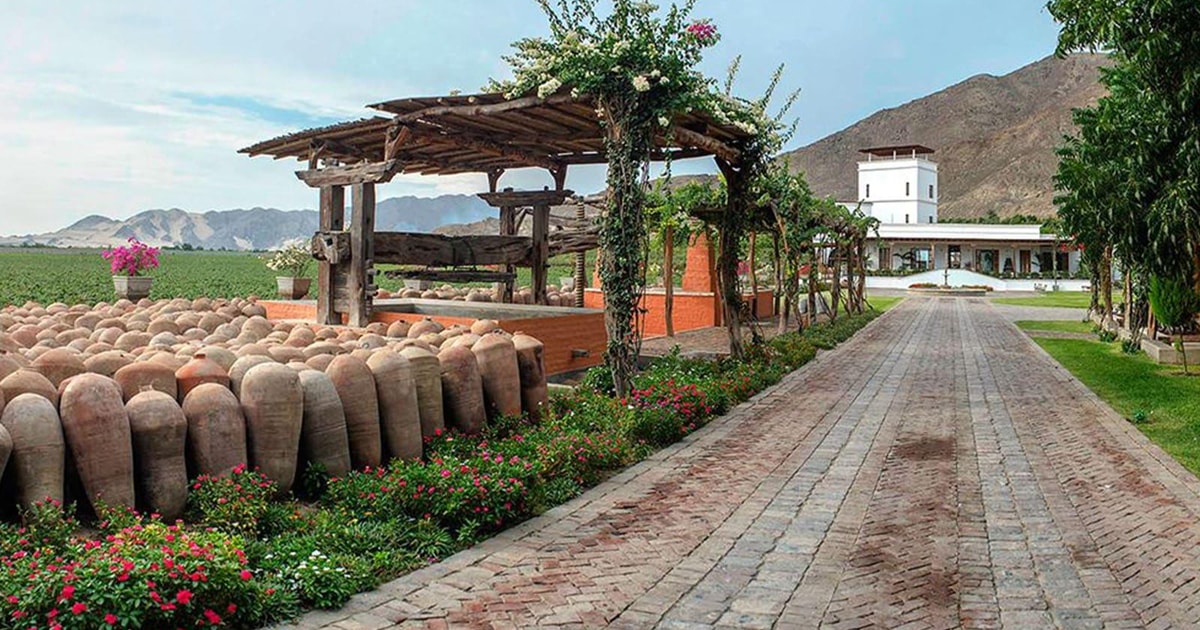Pisco Route Tour | GetYourGuide