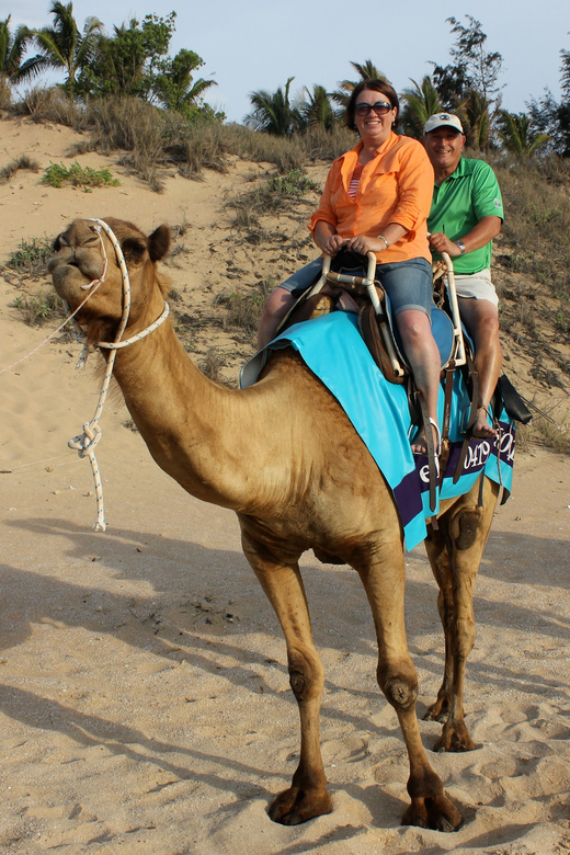 Broome: 45-Minute Pre-Sunset Cable Beach Camel Ride | GetYourGuide