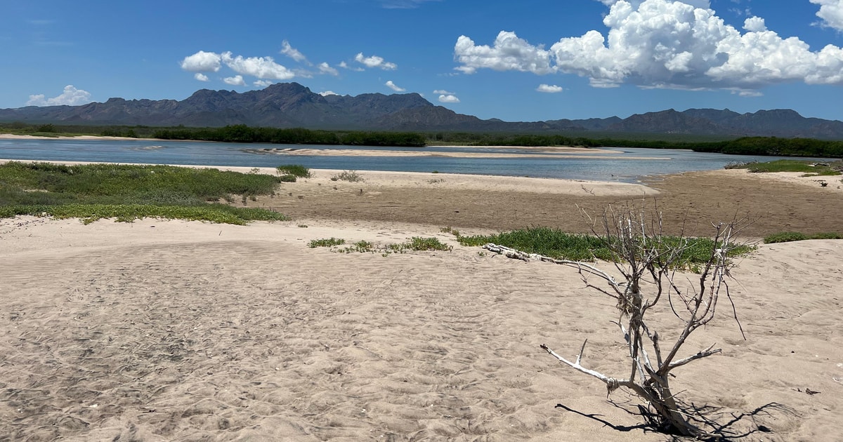 Shark Island: Tur til den største ø i Mexico | GetYourGuide