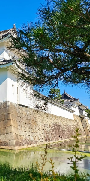 Kyoto: Imperial Palace & Nijo Castle Guided Walking Tour | GetYourGuide